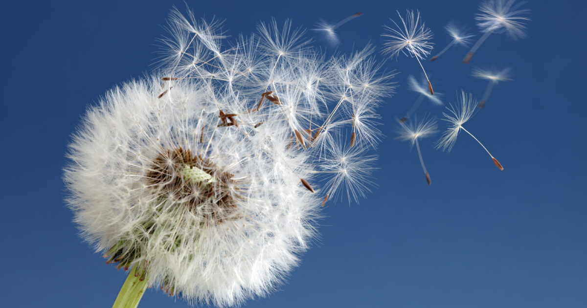 STEM Unit: Organisms, their… | Cape Cod Regional STEM Network
