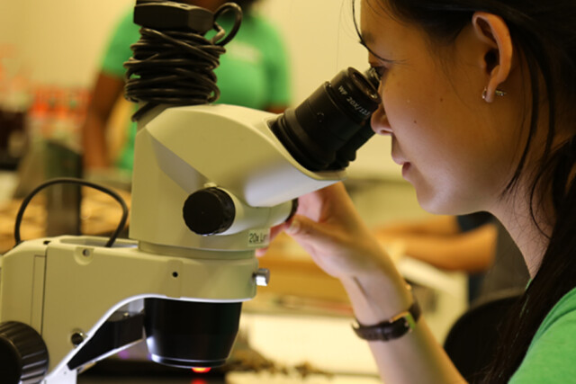 Programs | Cape Cod Regional STEM Network