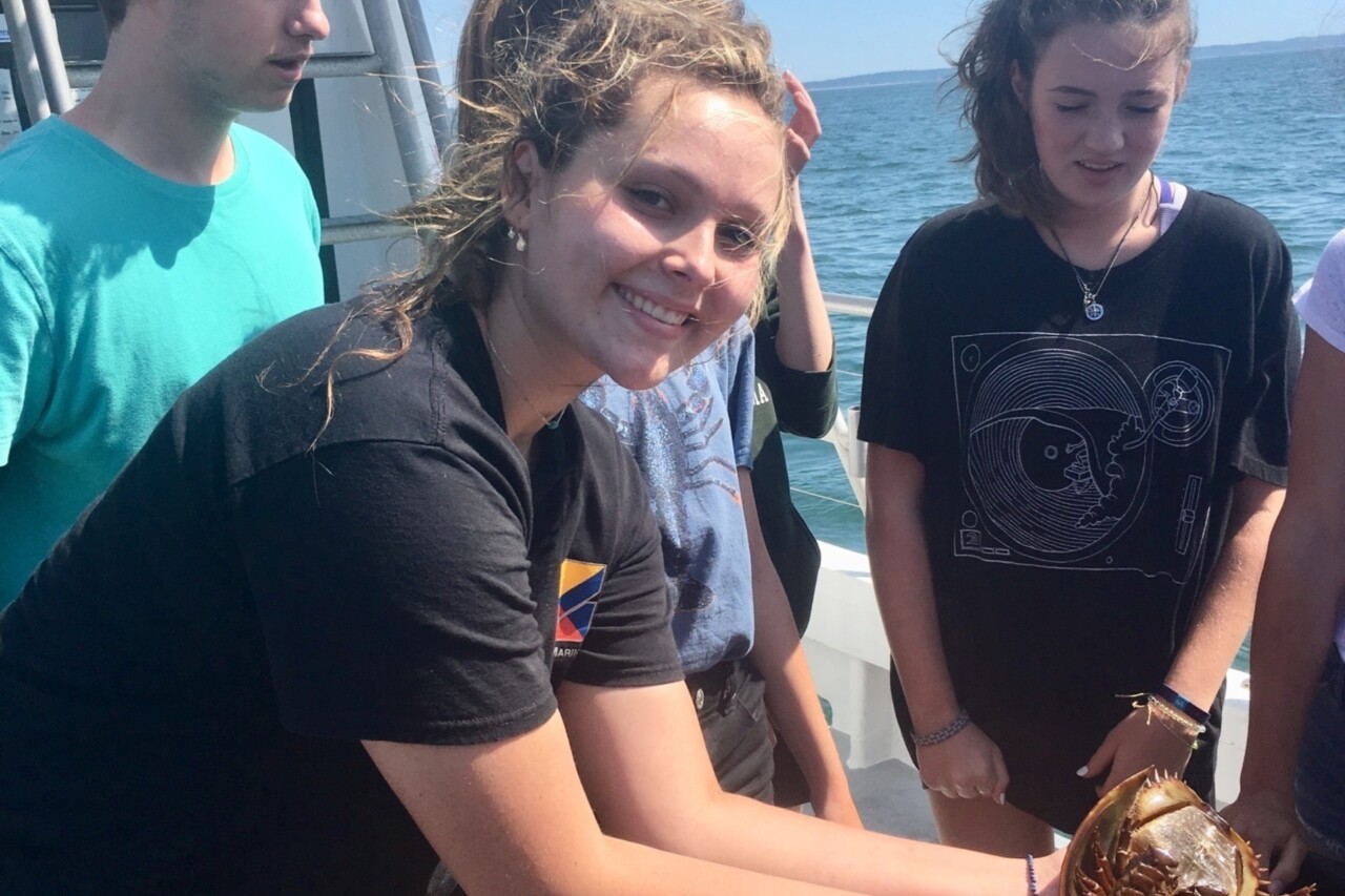 9 STEM Field Trips in the Cape Cod… | Cape Cod Regional STEM Network