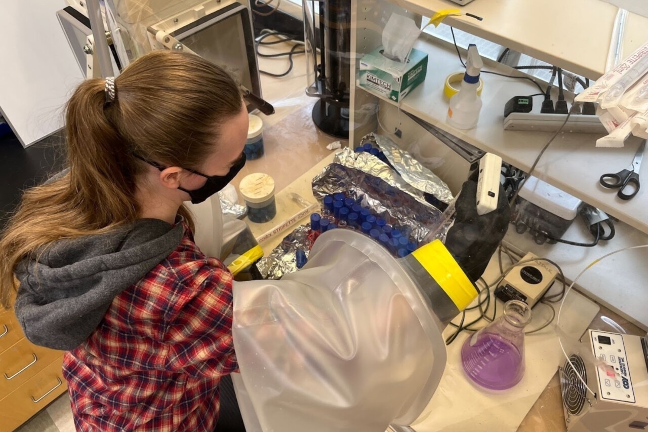 A Student's Perspective: CC-CREW… | Cape Cod Regional STEM Network