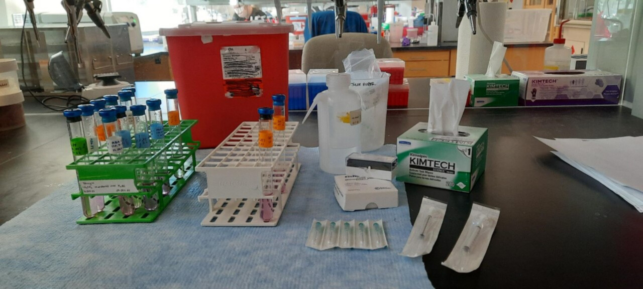 A Student's Perspective: CC-CREW… | Cape Cod Regional STEM Network