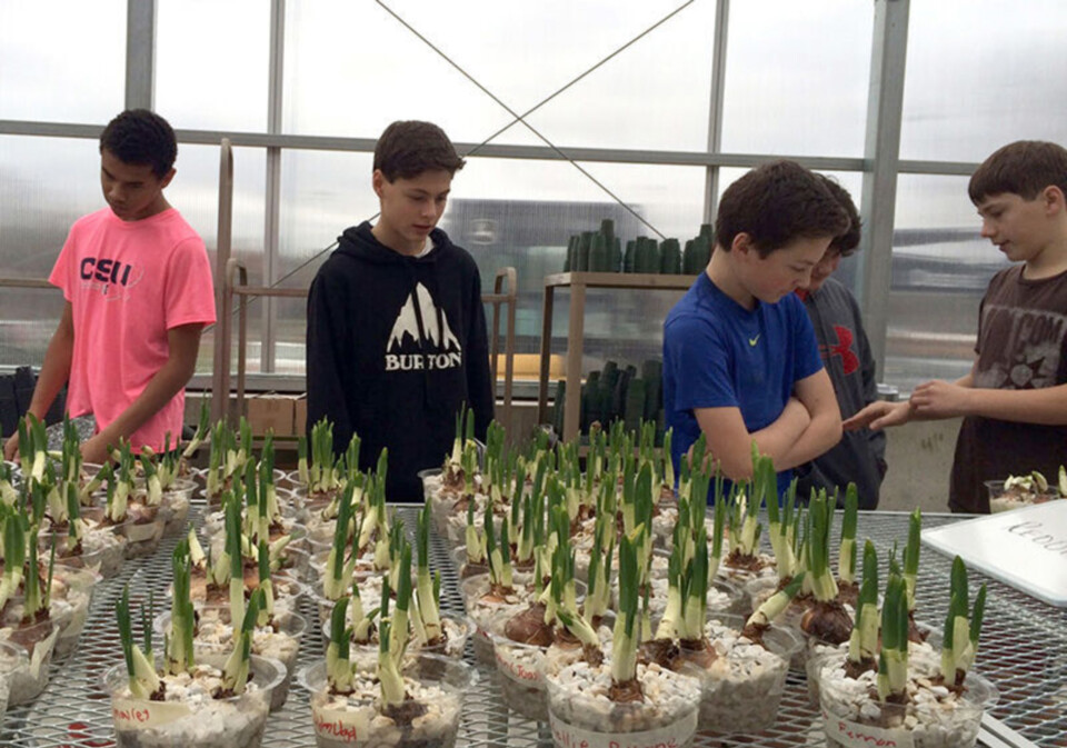 A Hydroponics Experiment | Cape Cod Regional STEM Network
