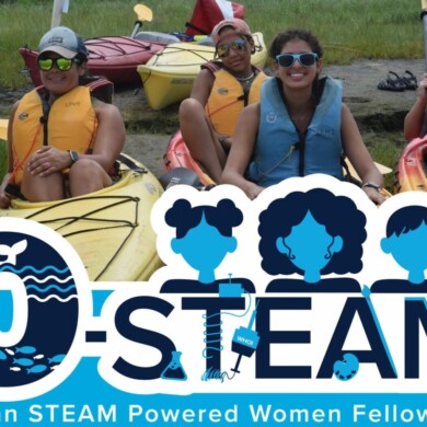 Welcome | Cape Cod Regional STEM Network